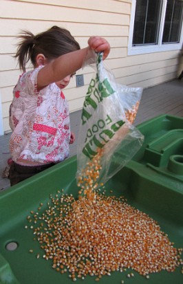 Fall Farm Sensory Tub - No Time For Flash Cards