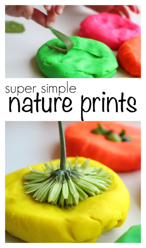 Super Simple Nature Prints - No Time For Flash Cards