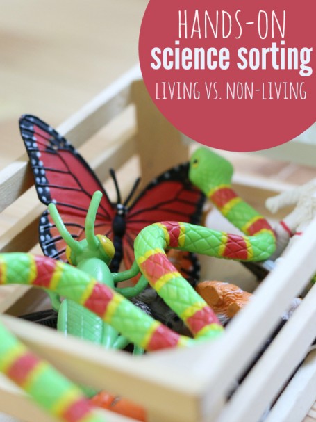 Preschool Science Sorting - Living vs. Non Living - No Time For Flash Cards