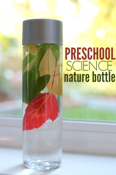 Preschool Science Activity - Fall Nature Bottle - No Time For Flash Cards