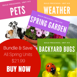 Thematic Units for Preschool - No Time For Flash Cards