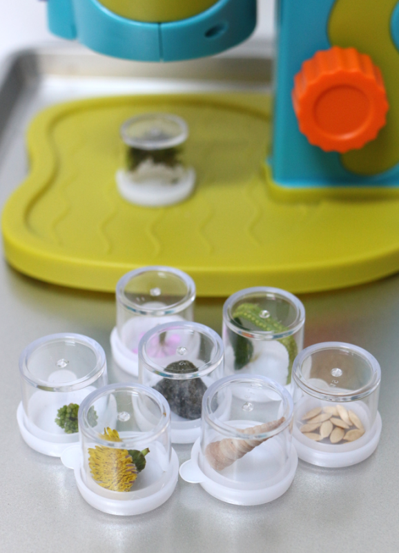 Microscope Jars for Your Preschool Science Center - No Time For Flash Cards