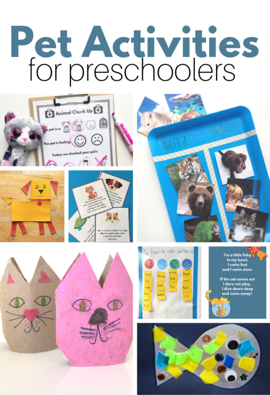 Preschool Pet Activities - No Time For Flash Cards