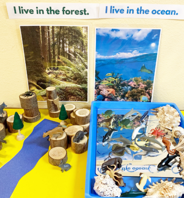 Animal Habitat Sorting - No Time For Flash Cards