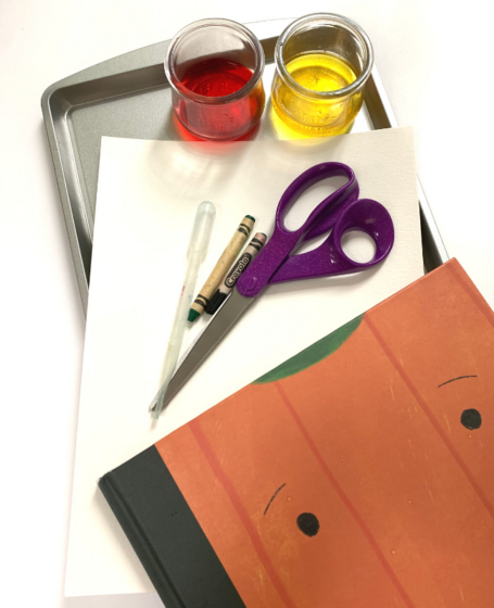 Stumpkin Craft - No Time For Flash Cards