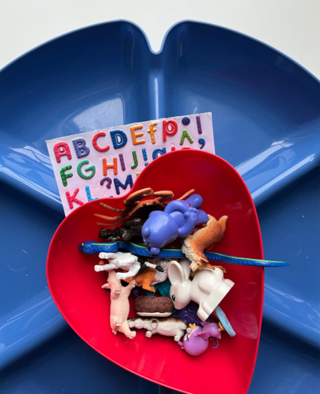 Phonics Sorting Tray - No Time For Flash Cards