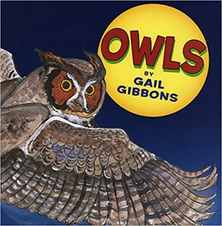 Forest Animal Books For Preschool - No Time For Flash Cards