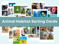Animal Habitat Sorting Cards & How to Use Them in Preschool - No Time ...