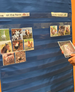 Pocket Chart Activities for PreK - No Time For Flash Cards