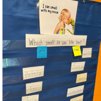 Five Senses Preschool Activities