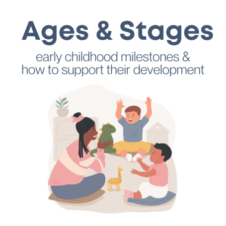 ECE Professional Development Workshops - No Time For Flash Cards