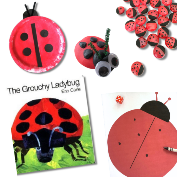 Bug Activities That Match Eric Carle Books - No Time For Flash Cards