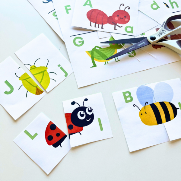 Bug Letter Recognition Game - No Time For Flash Cards