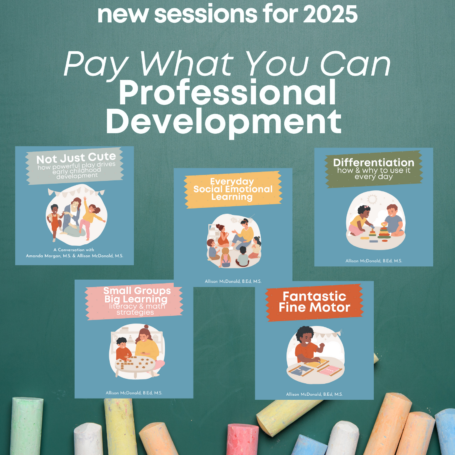 ECE Professional Development Workshops - No Time For Flash Cards